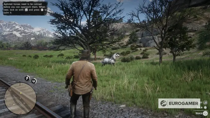 بهترین اسب های بازی Red Dead Redemption2 - اول تکنو